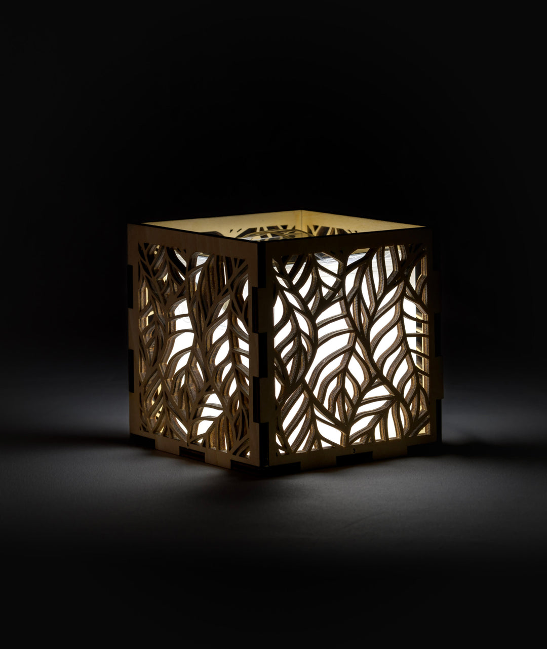 Shop All – Loola Lights