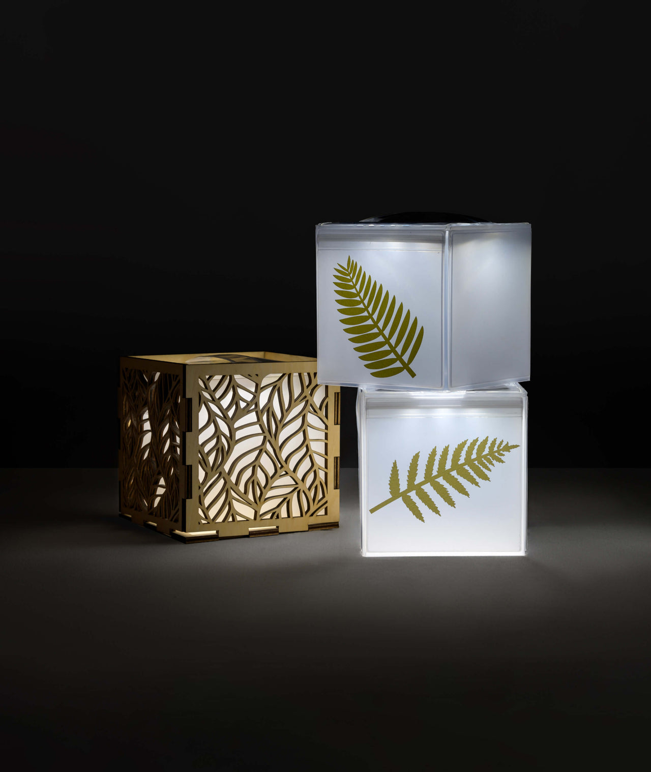 Genesis-CI 4.5" by Loola - Customizable Lantern Inserts – Loola Lights